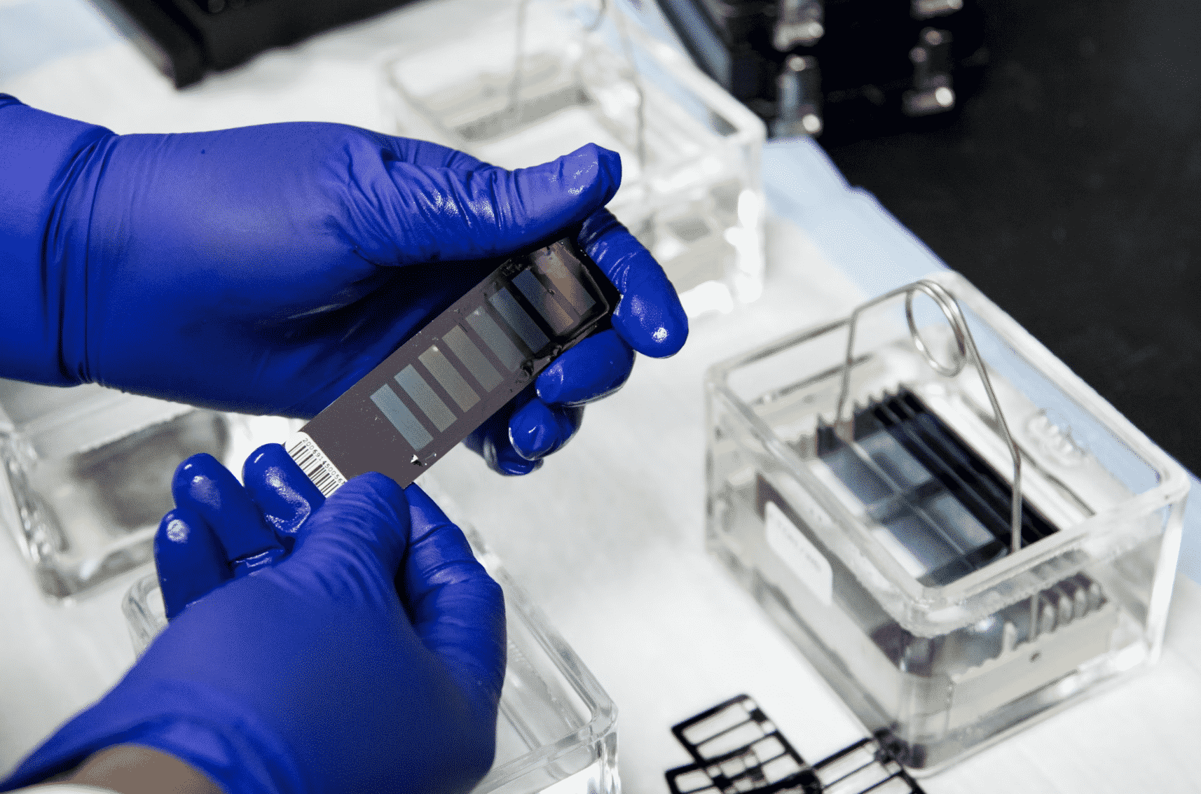 BioTechniques Explains The Best CRISPR Gene Editing Practices and What ...