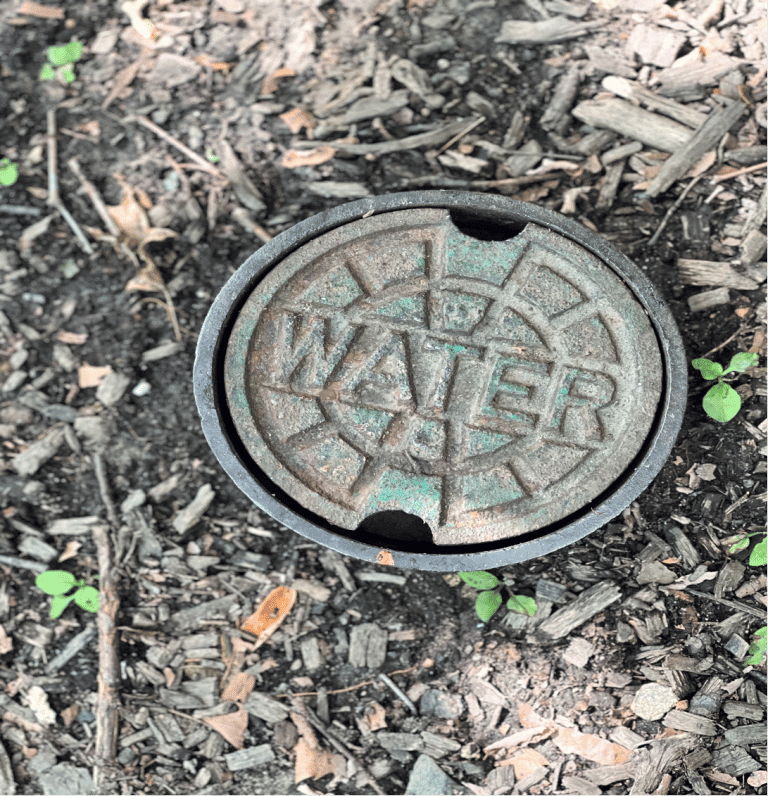 4 Common Sewer Problems And How To Fix Them