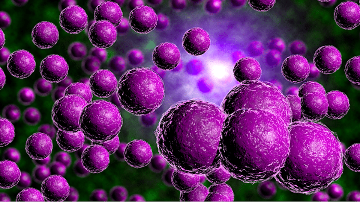 Superbugs Affecting Healthcare: The Importance of Using Innovative ...