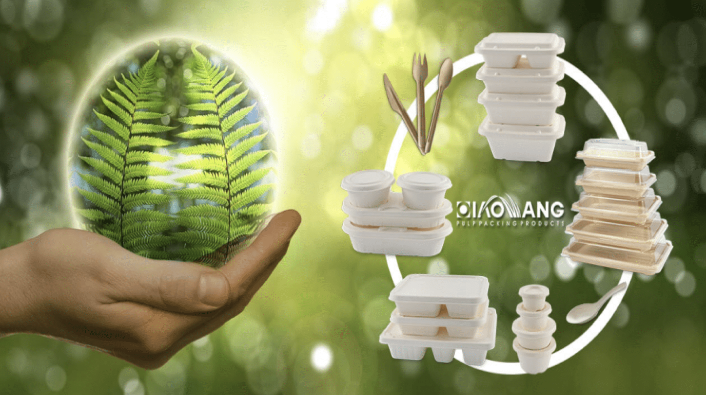 Sustainable Takeaway Packaging: Qiawang’s Eco-Friendly Solution