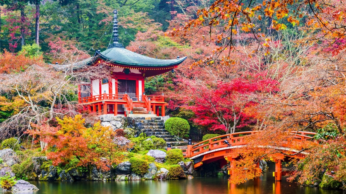 Nature Escapes: Discovering the Serene Side of Japan