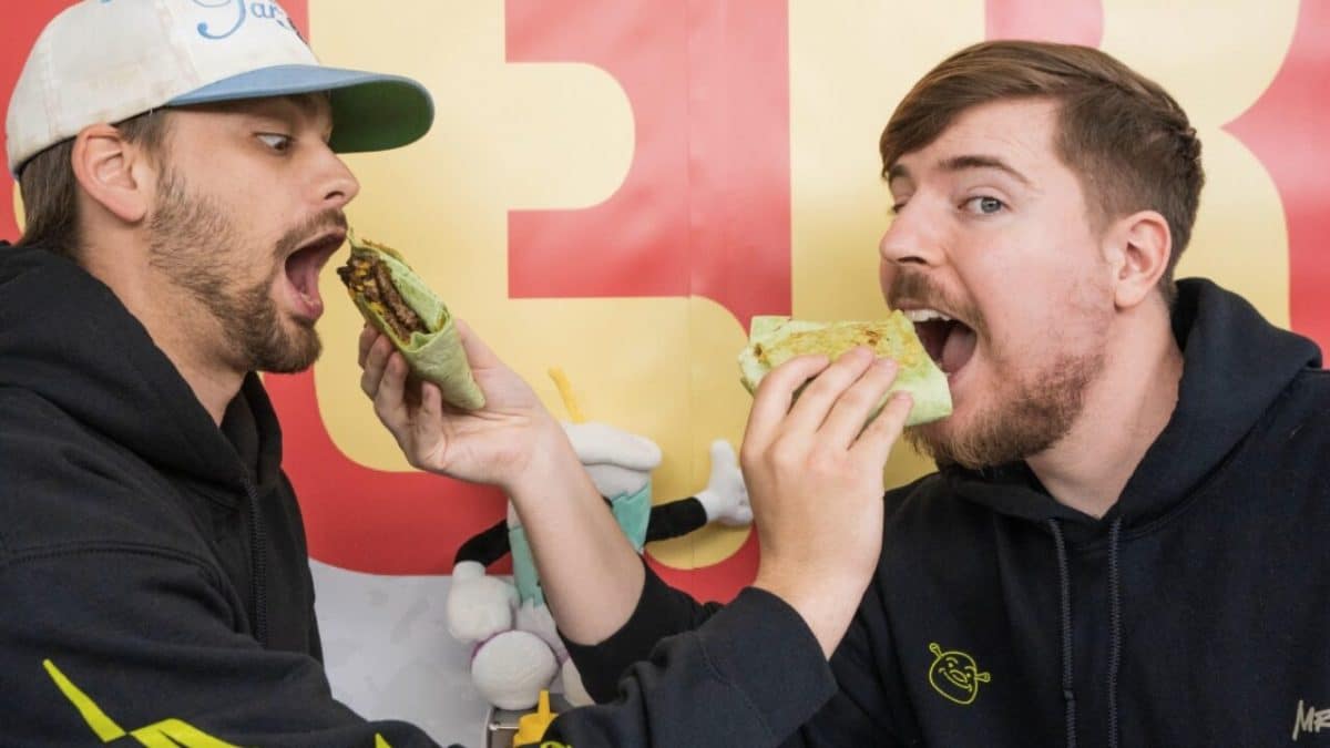 MrBeast Shrek Merch: Indulge in the Hype of Shrek Quesadilla Adventure
