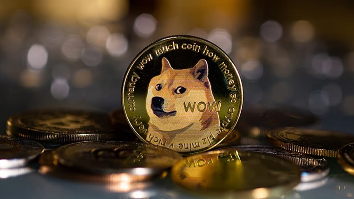 Dogecoin Investment Case Study: Drawing Insights from Market Cycles