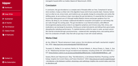 Kipper AI Review: The AI Tool That Academically Delivers