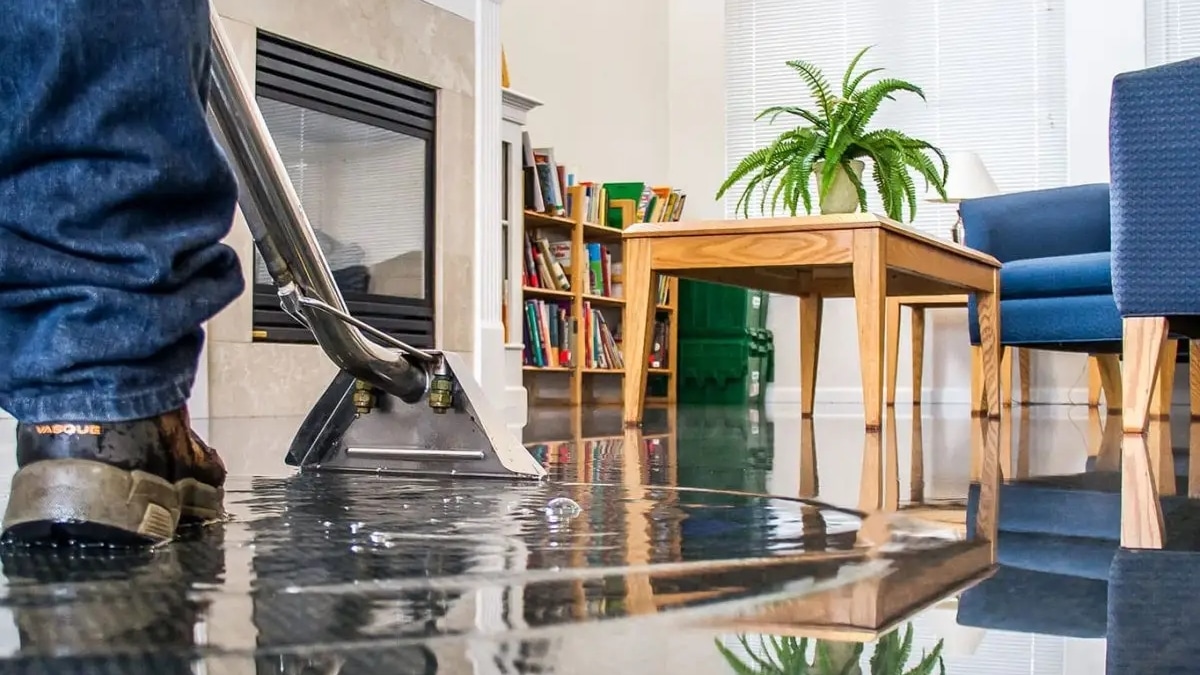 Emergency Water Damage Restoration Services in Stafford, TX: What to Expect