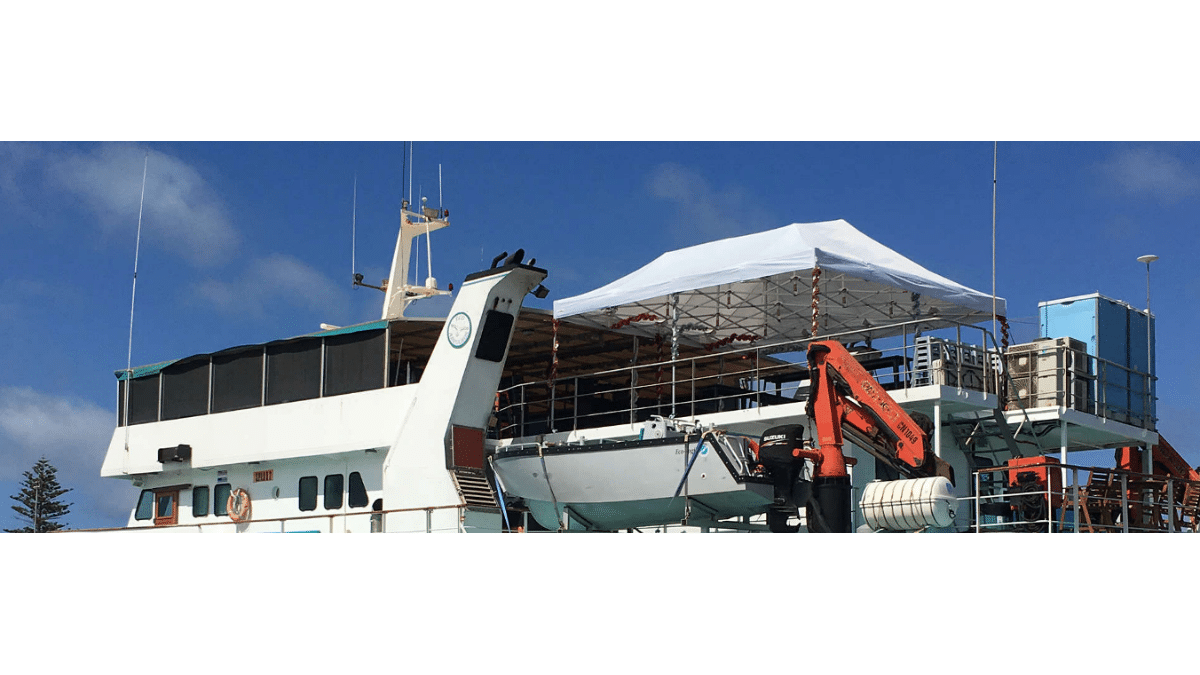 The Ultimate Travel Companion: Benefits of Using a 20×20 Canopy