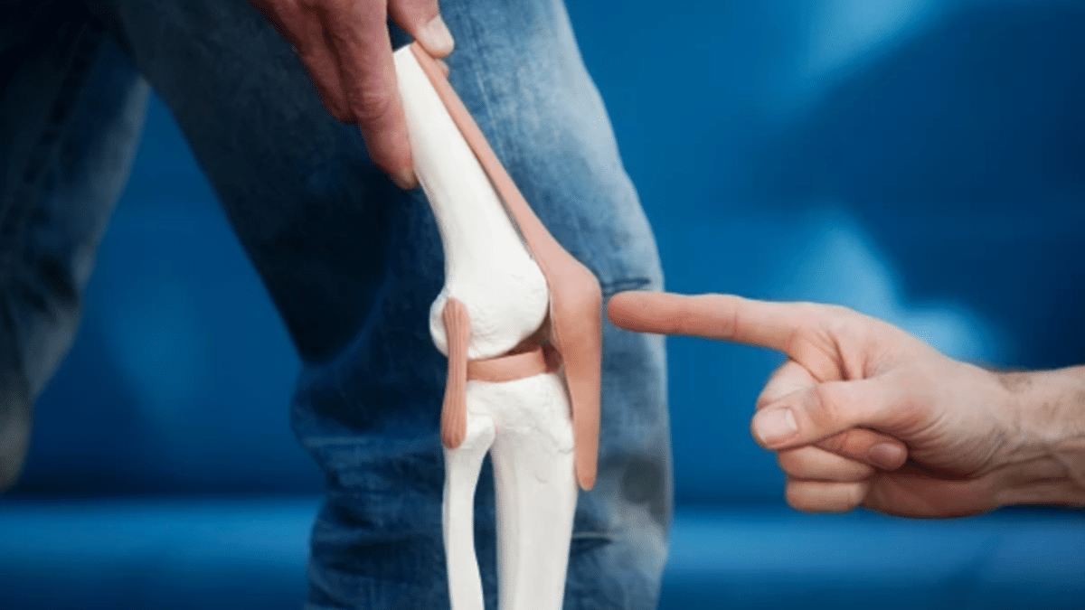 Stem Cell Therapy for Knee Cartilage Replacement: Is It Work?