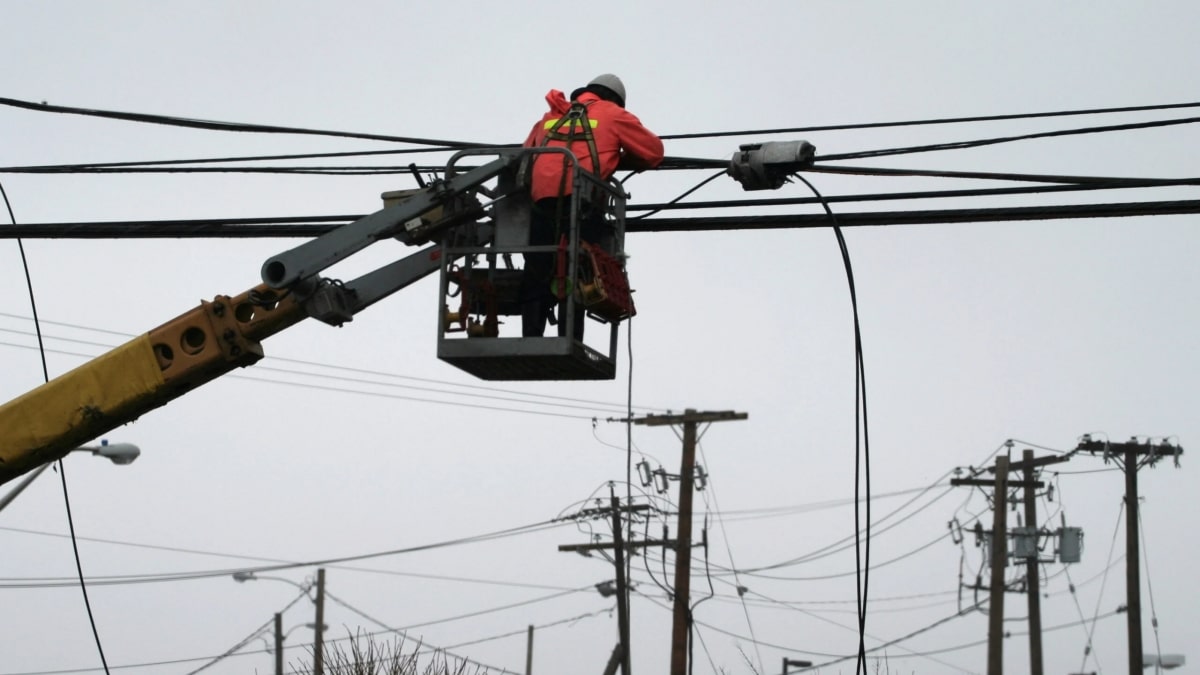 Utility Poles: Their Role in The Modern Infrastructure