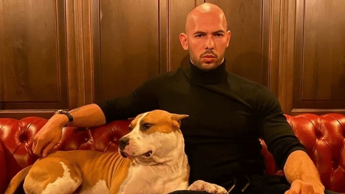 Andrew Tate: The Rise of a Controversial Figure