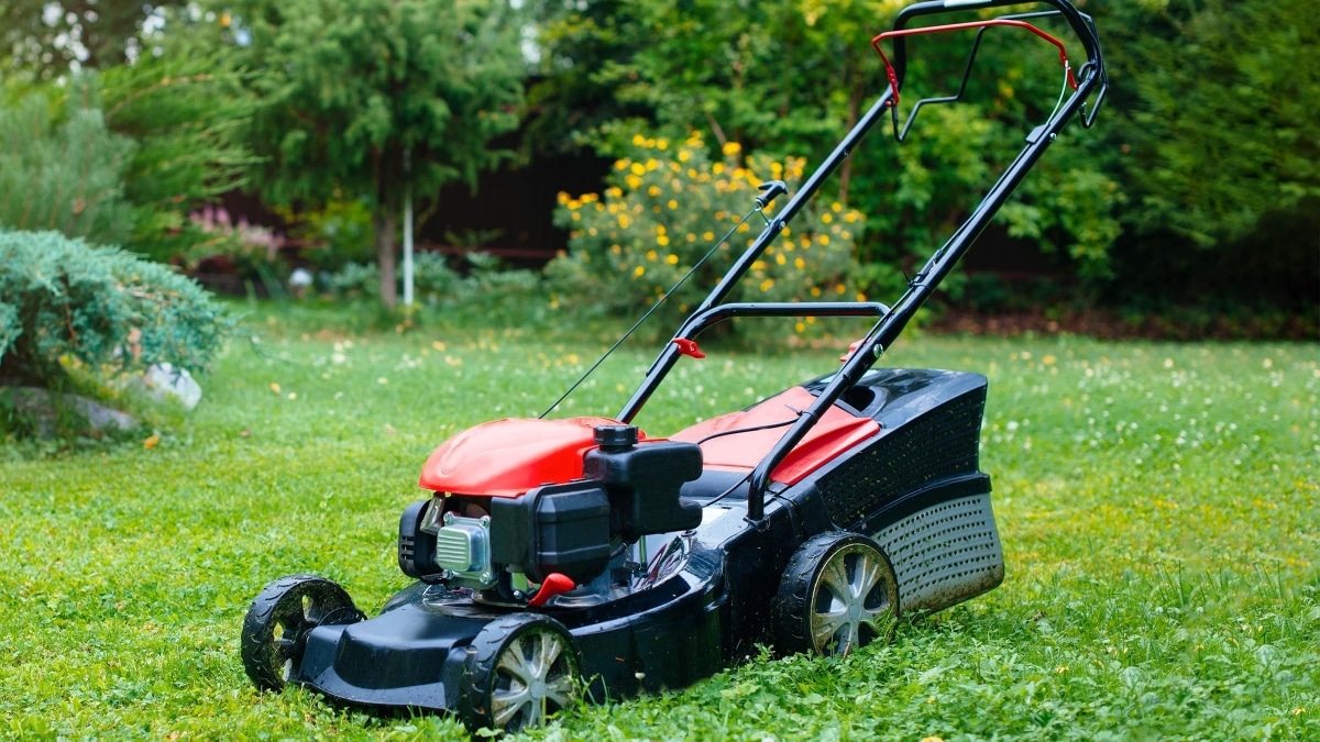 How Technology is Transforming Lawn Care: Insights from LawnGuru