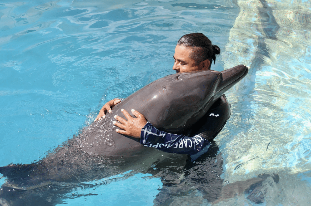 Why should I choose Dolphin Connection over other brands?