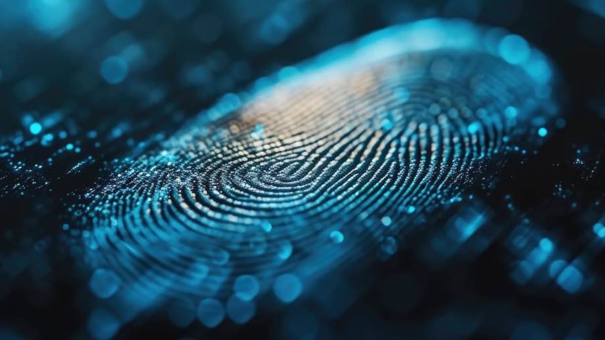How Fingerprinting Works: The Ultimate Breakdown