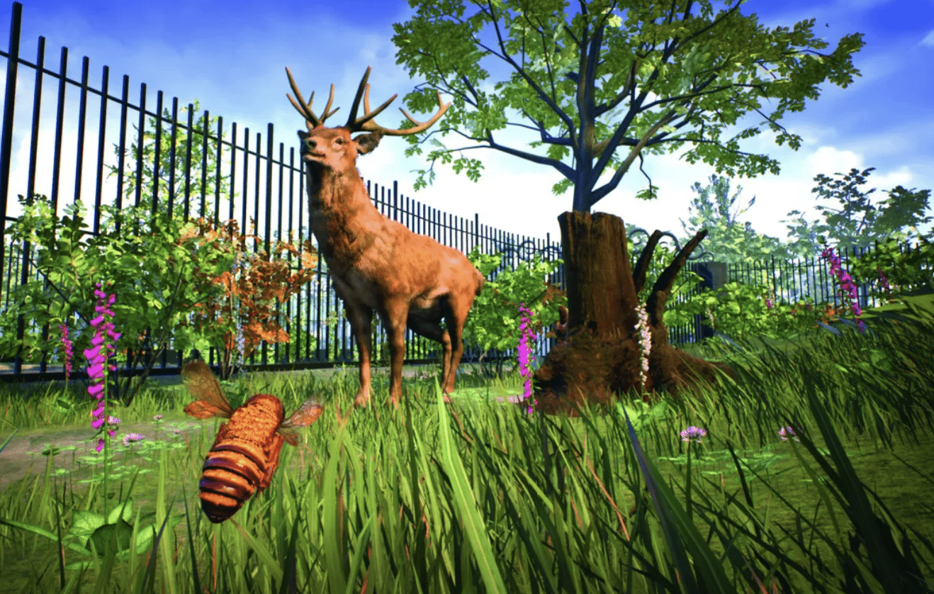 The Evolution of Wildlife Gaming: How Animal-Themed Entertainment ...