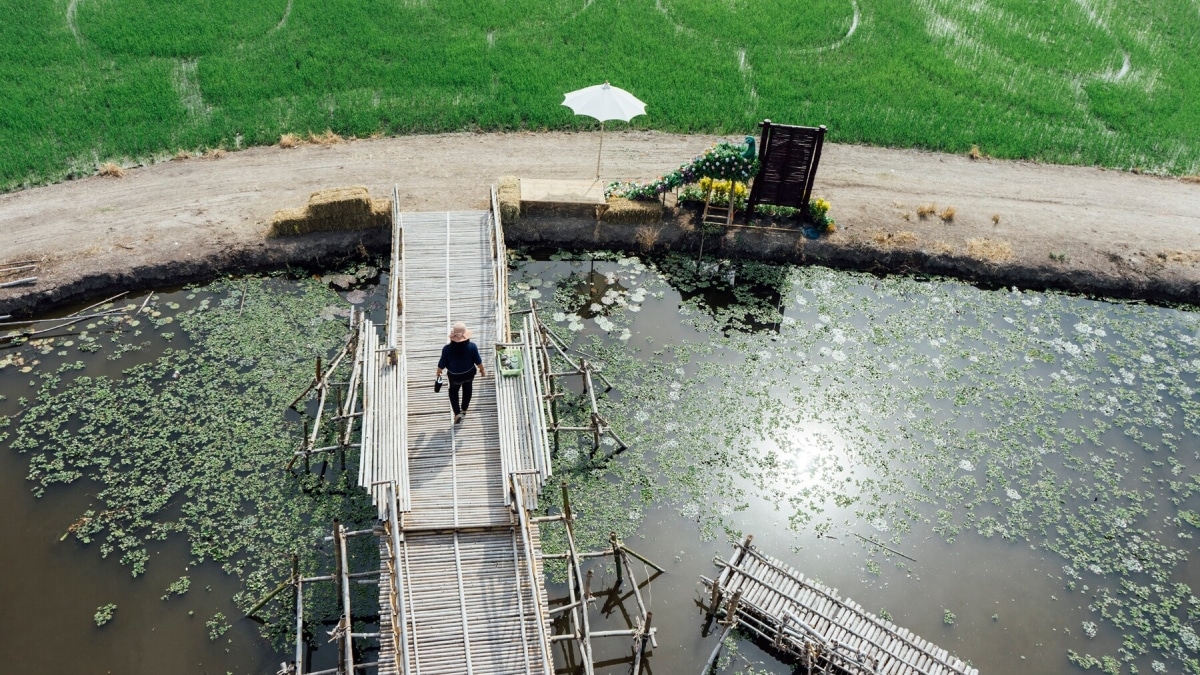 Exploring Different Types of Stormwater Management Techniques: A ...