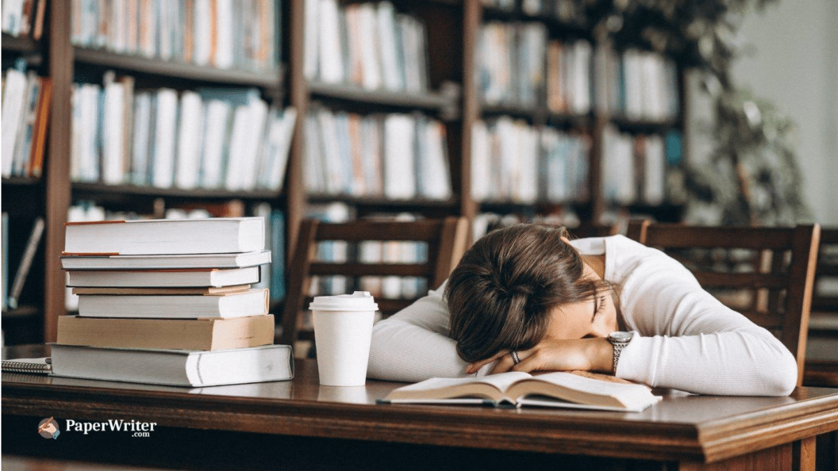 PaperWriter Review: How Homework Planner Boosts Studies