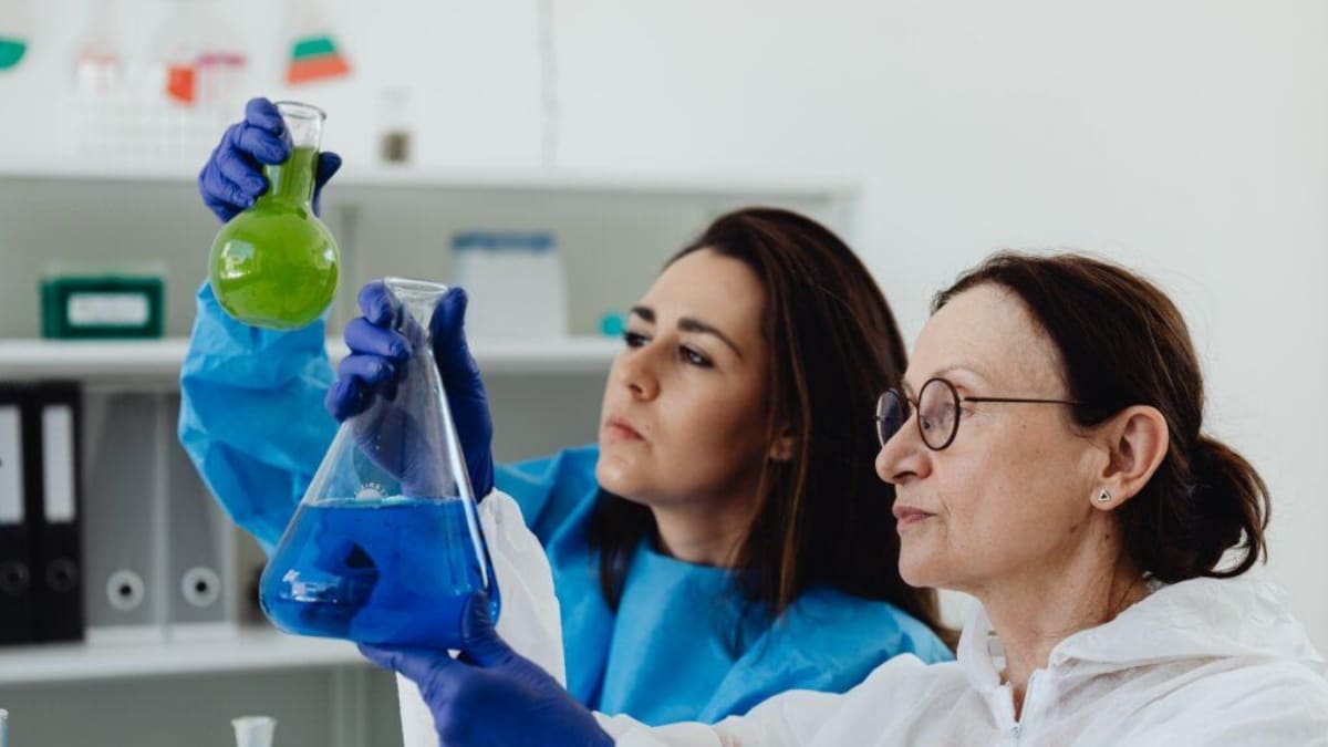 The Essential Role of High-Purity Solvents in Pharmaceutical Drug ...