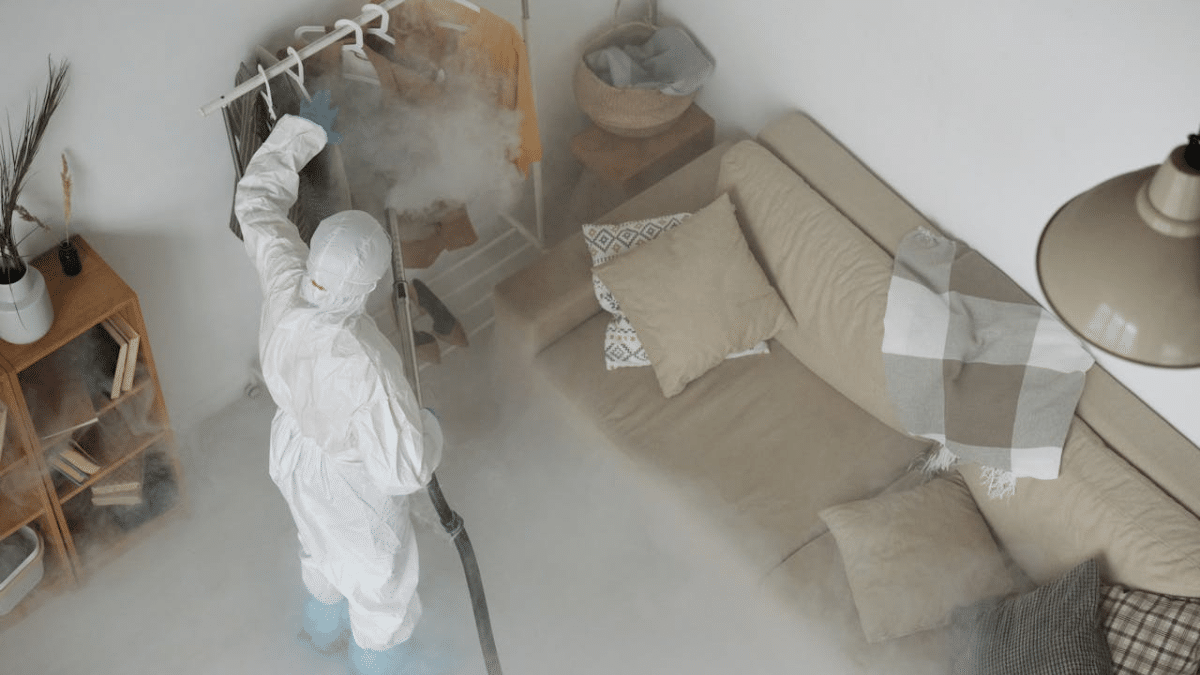 Creative Pest Control Solutions for a Healthier Home Environment