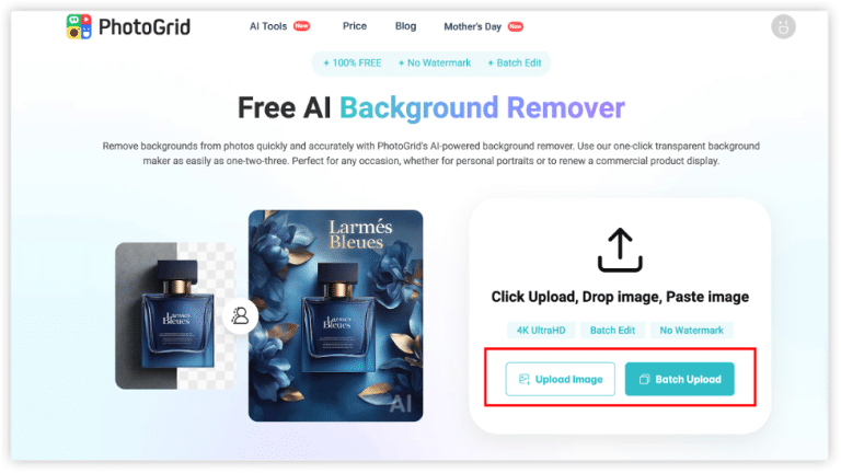 Best Free Background Remover for Print (2025) | PhotoGrid Review