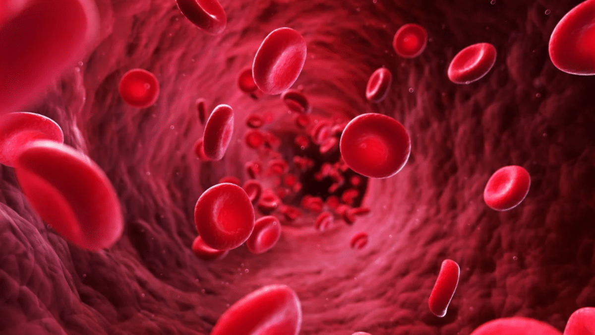 What Are Physicochemical Properties in the Context of Environmental ...