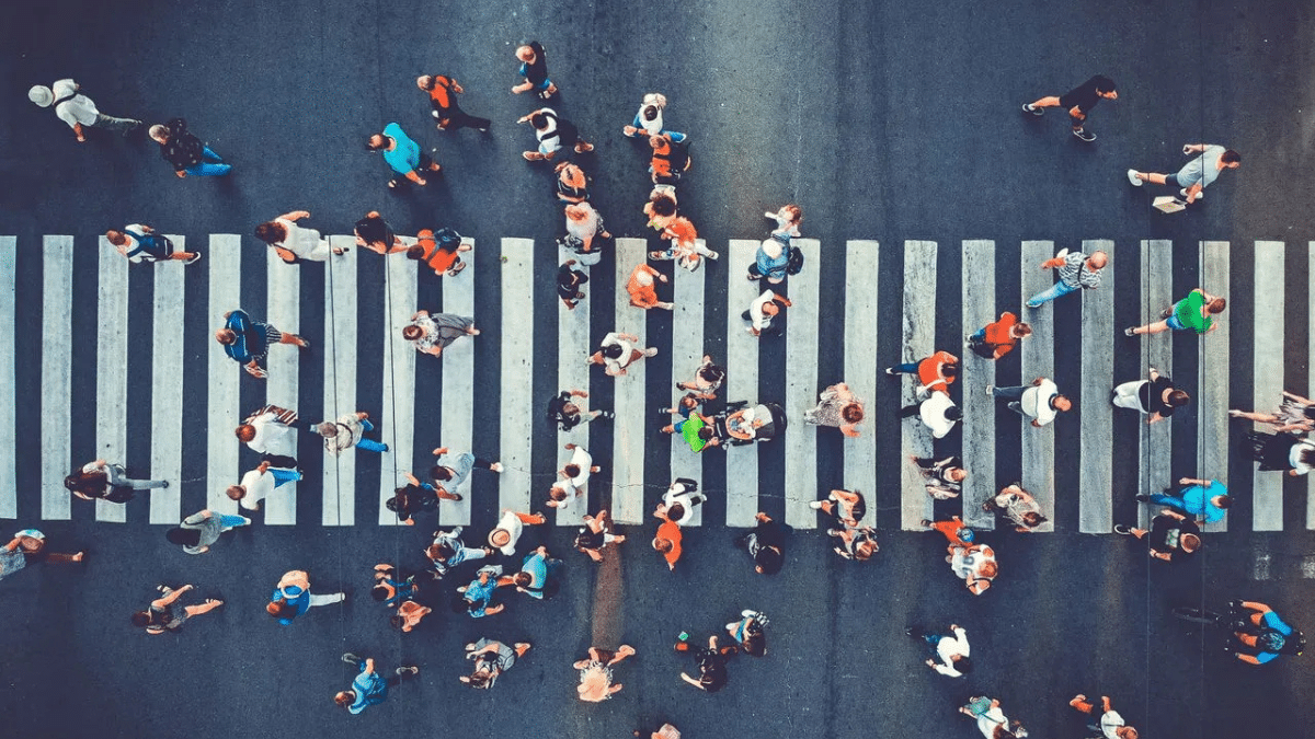 Building Public Trust: Strategies for Accountable Government Financial ...