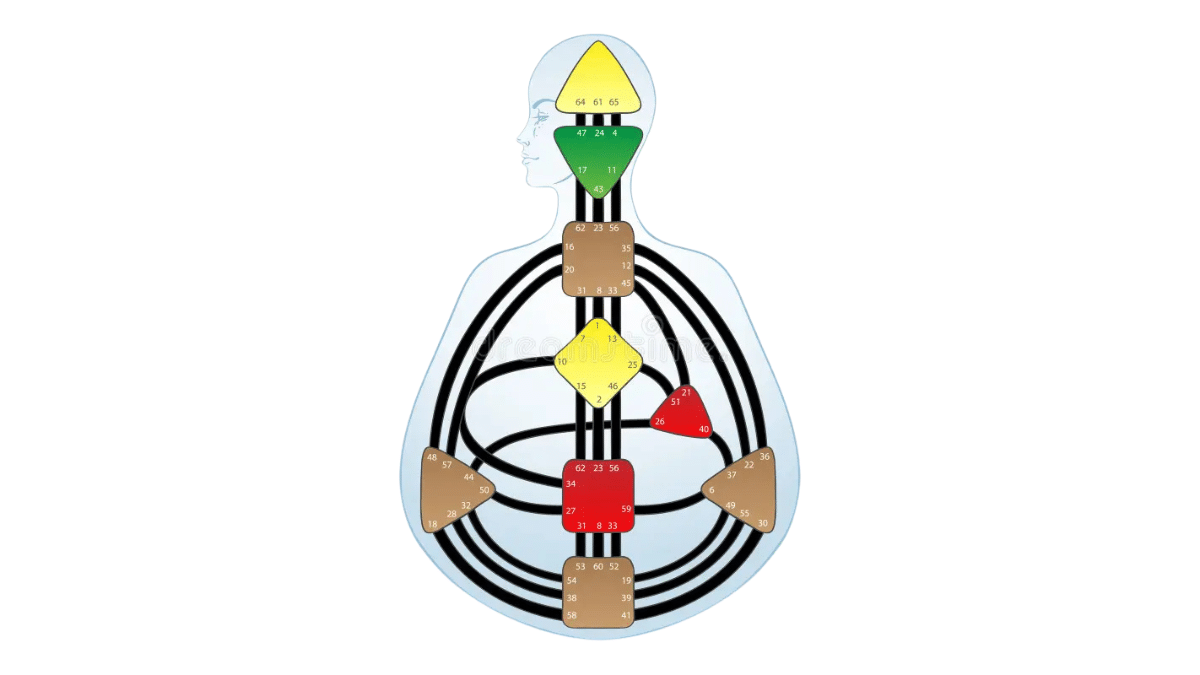 How a Human Design Test Shapes Your Decision-Making Process