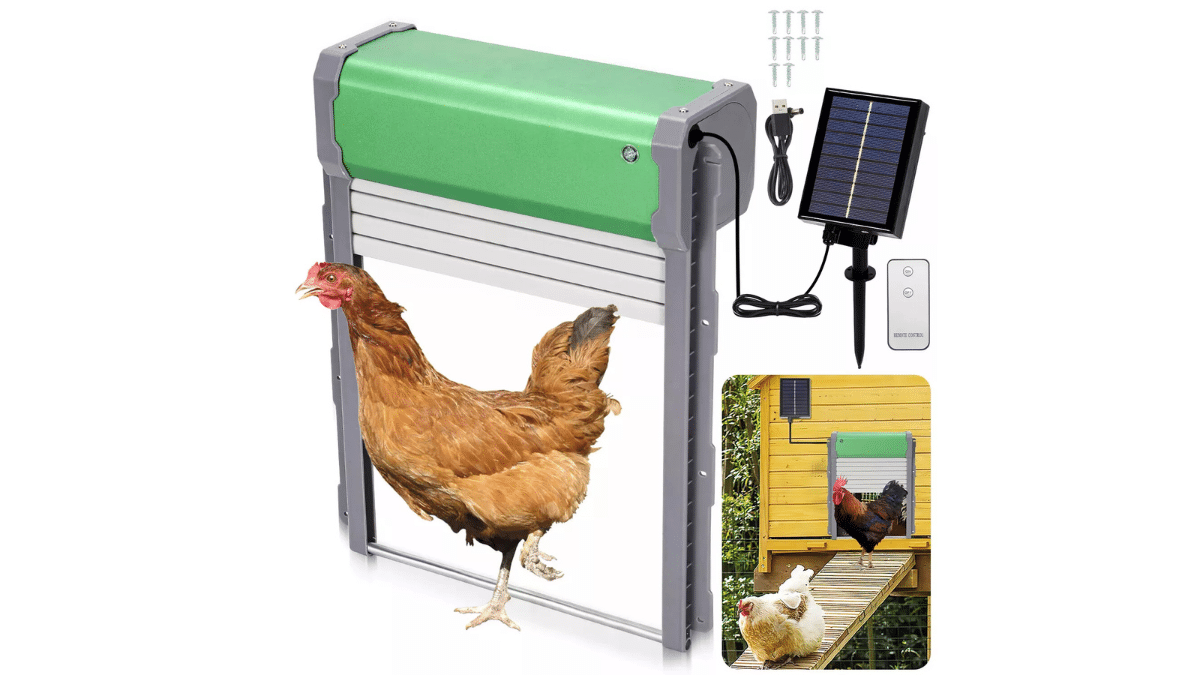 Smart Backyard Farming: How Technology is Revolutionizing Poultry Care