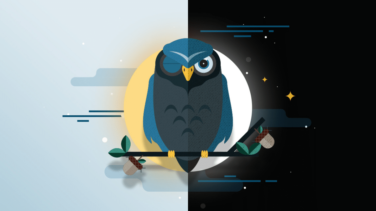 Night Owls Are Not Lazier Than Early Birds