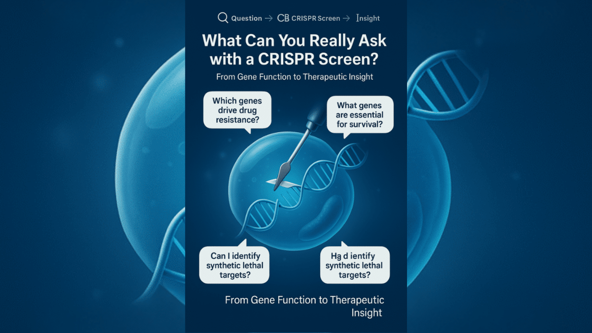 Research Questions You Can Answer with a CRISPR Screen