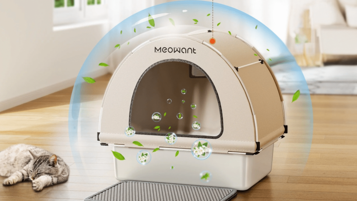 Smart Features Guide to Ideal Self Cleaning Litter Boxes