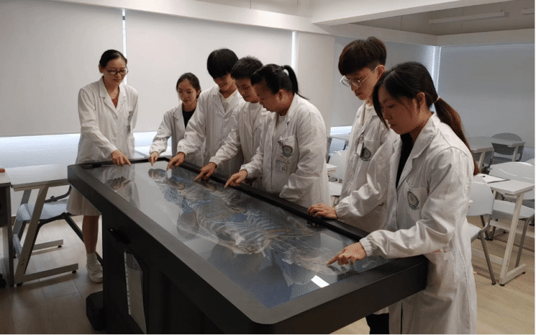 Traditional Anatomy Vs. Virtual Anatomy Table: Why Education Needs Both?
