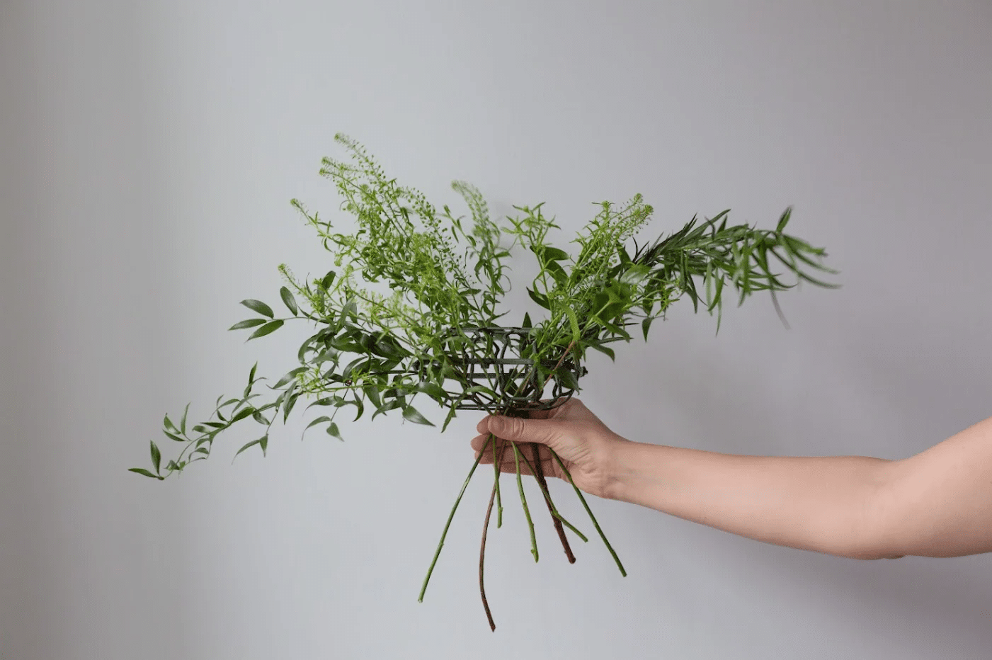 Types of greenery for flower arrangements and bouquets