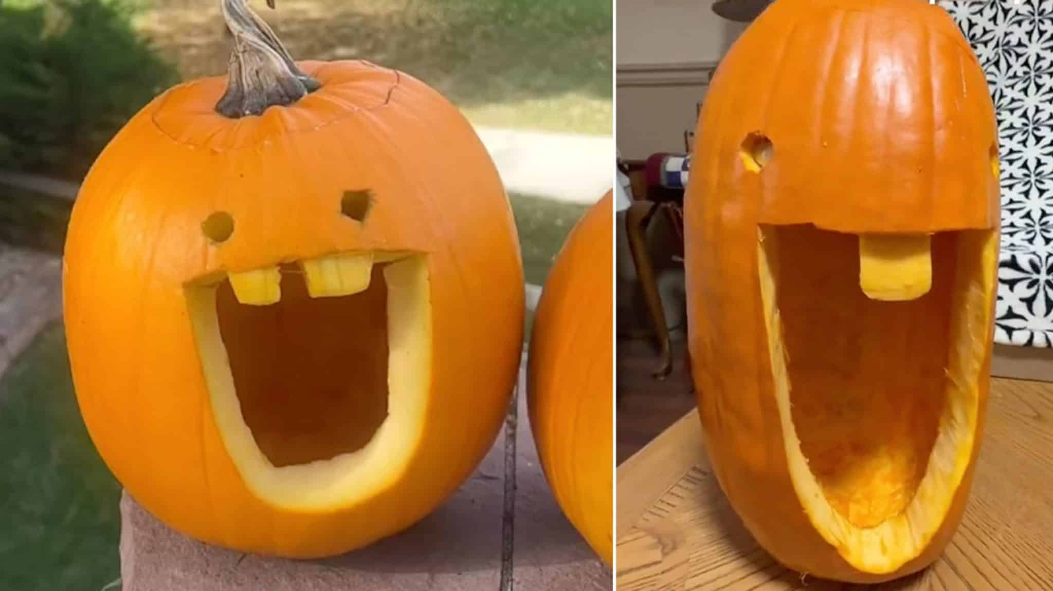 Dumbah Pumpkin: Dumb Ahh Pumpkin Trend Today!